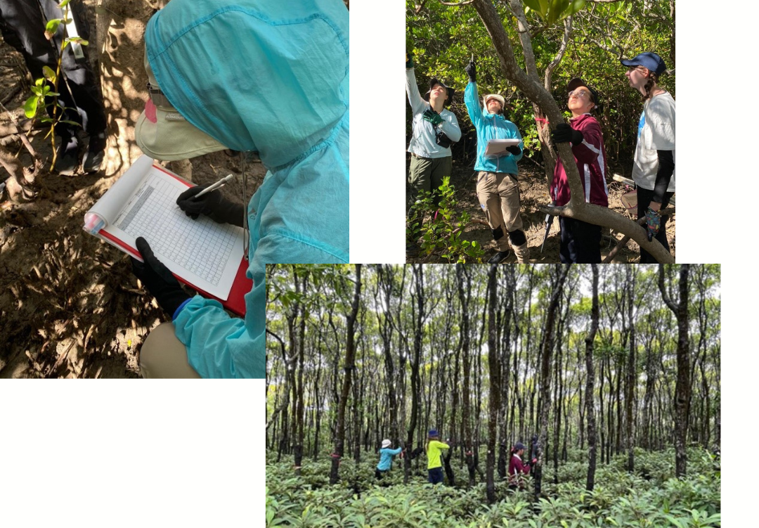 Layla Essack | The George Alexander Foundation