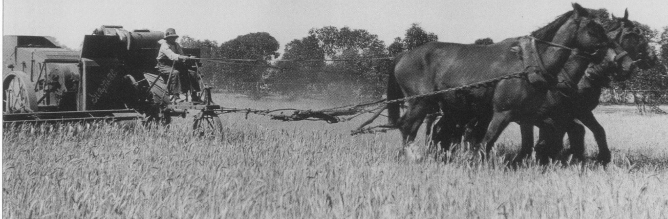 The Story of GAF | The George Alexander Foundation