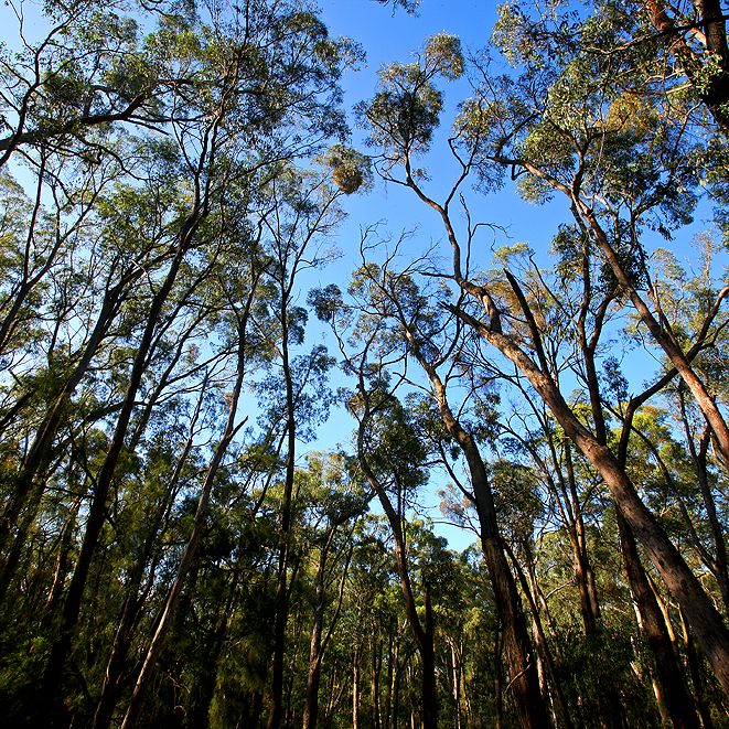 About Us | The George Alexander Foundation